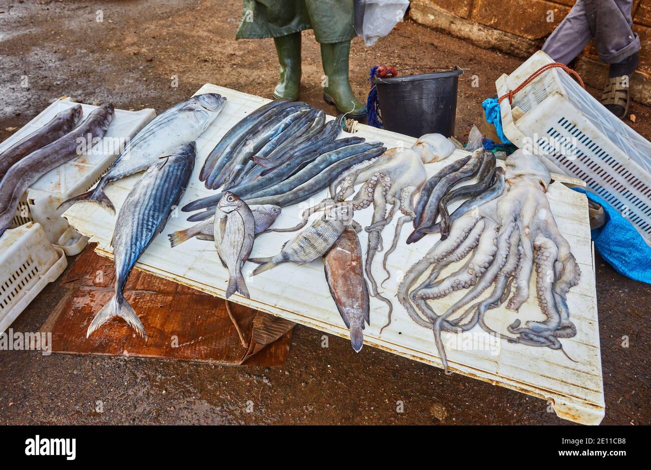Real fish market and fresh fish, seafood from Atlantic ocean in Morocco ...