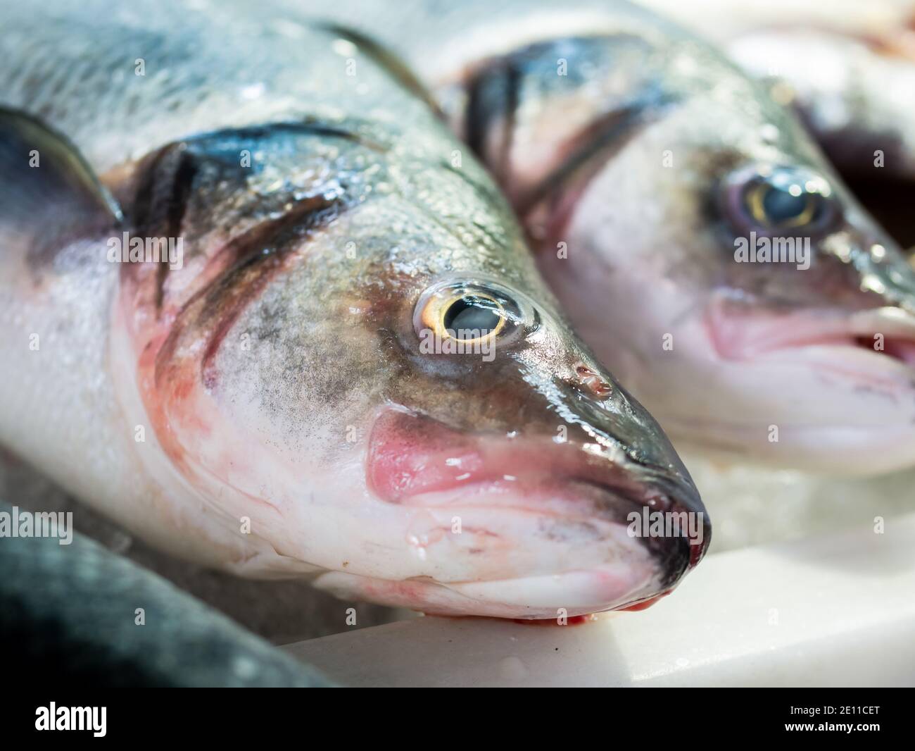 Fresh Sea Bream, Fish At A Market Stall Stock Photo - Alamy