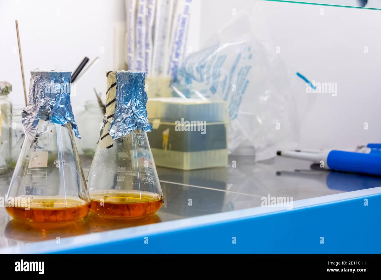 Flasks with liquid media and chemical equipment in the hood for the ...