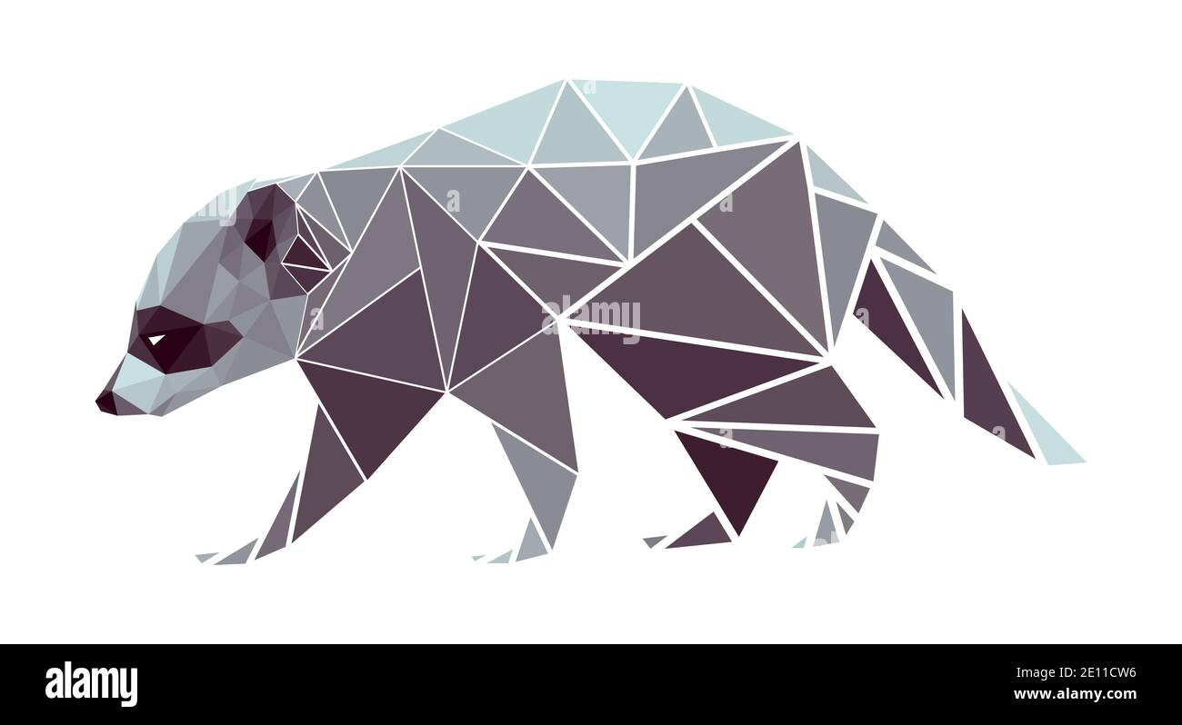 Vector raccoon in low poly style Stock Vector Image & Art - Alamy