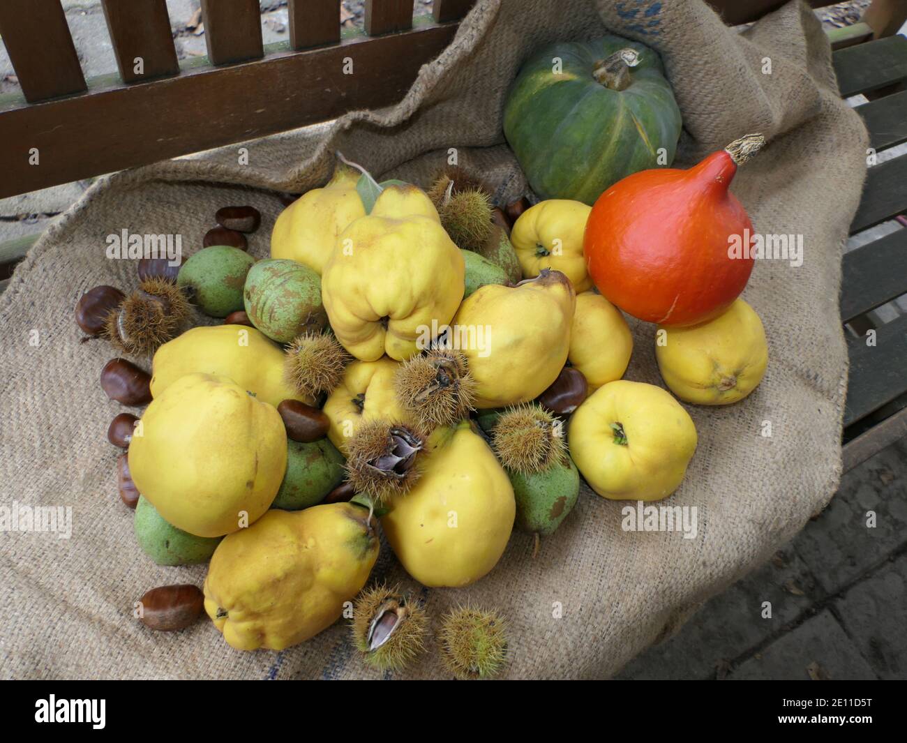 Pears Quinces High Resolution Stock Photography and Images - Alamy