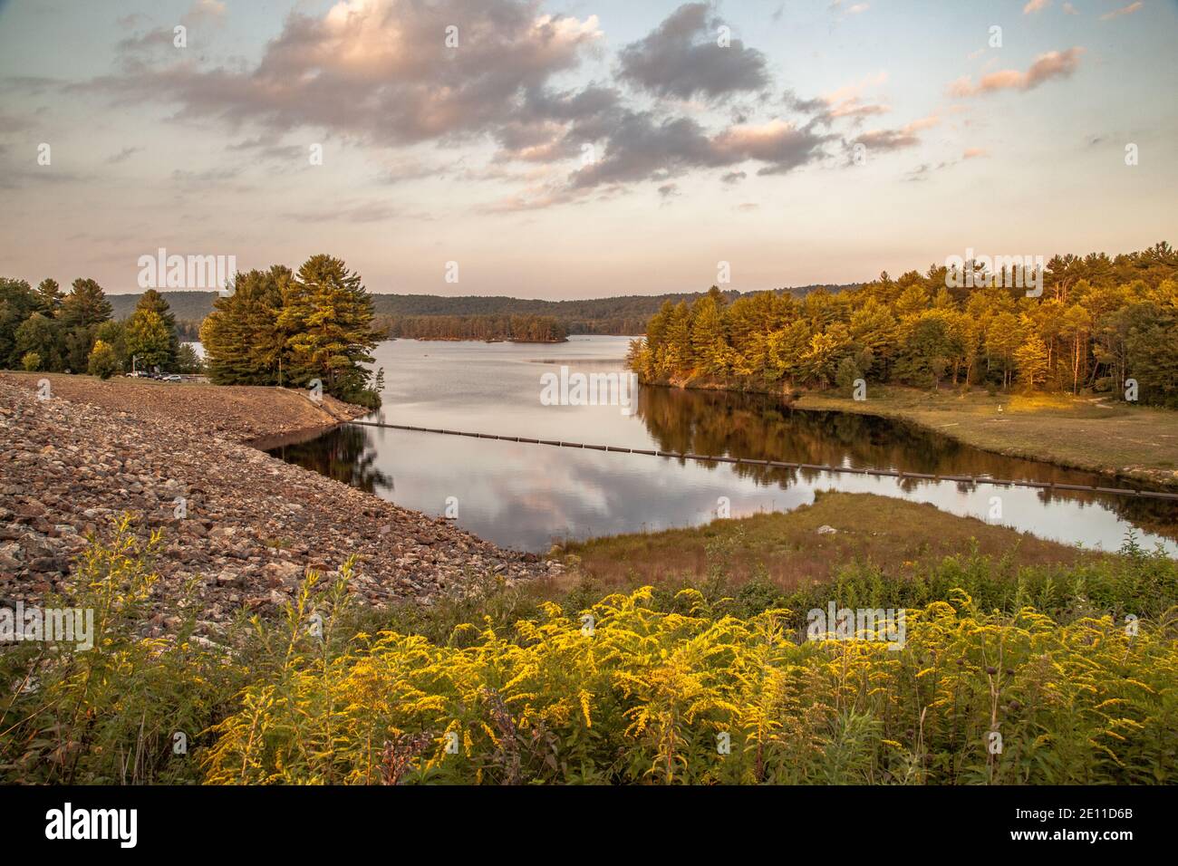 Wetland environment hi-res stock photography and images - Alamy