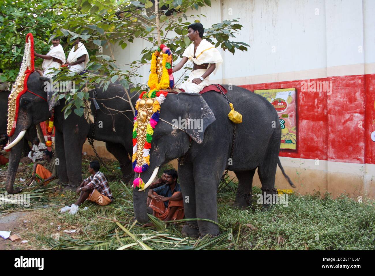India elephant parade hi-res stock photography and images - Alamy