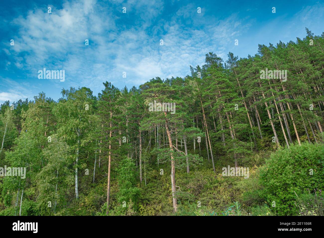 Hillside texture hi-res stock photography and images - Alamy