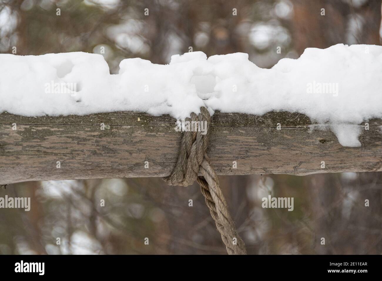 Wood node hi-res stock photography and images - Alamy