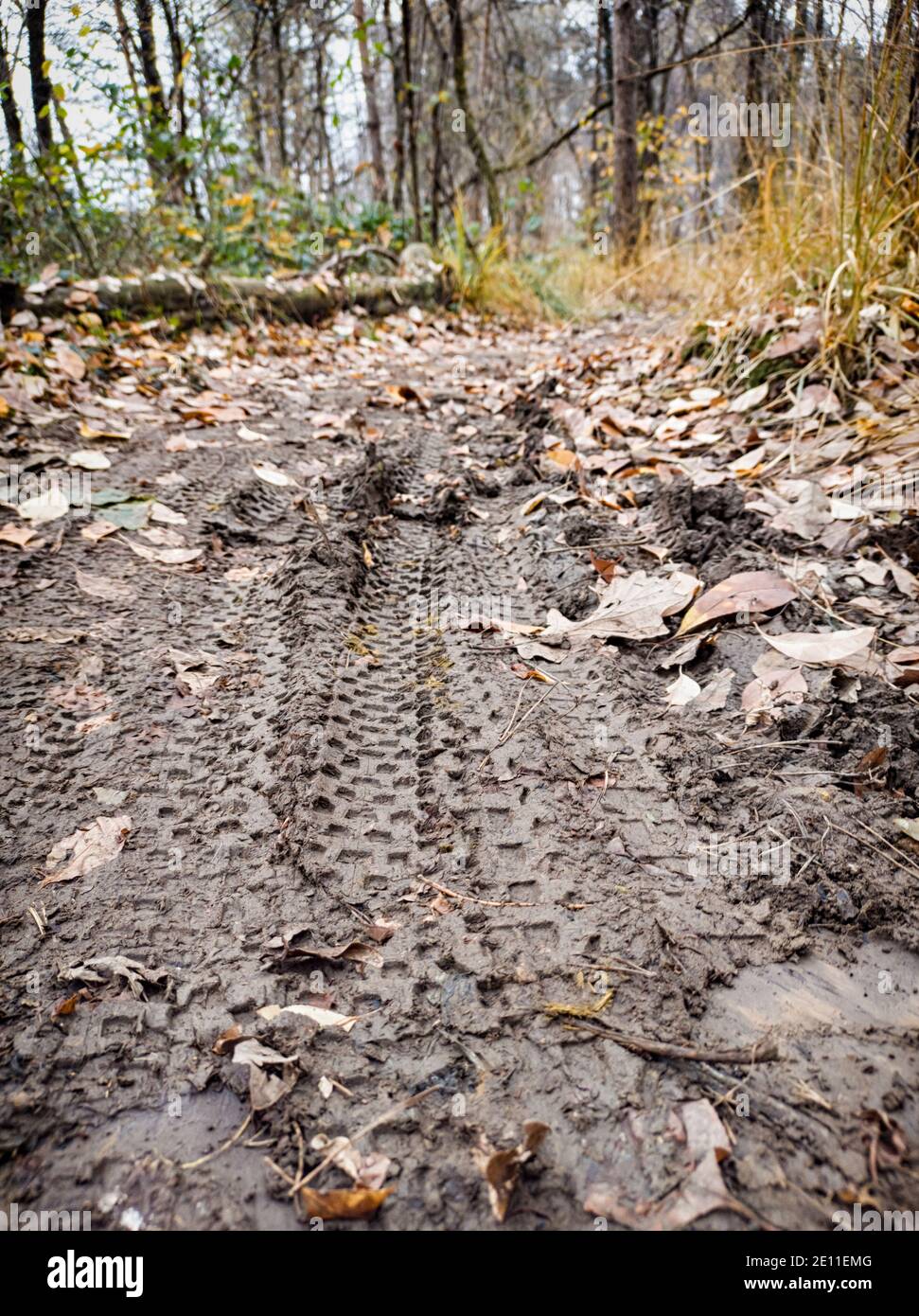 Mtb tracks hi-res stock photography and images - Alamy