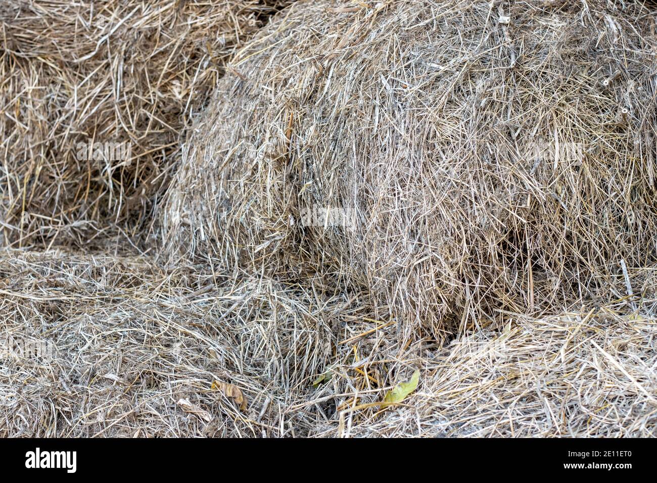 Old dry straw pile close up background Stock Photo - Alamy