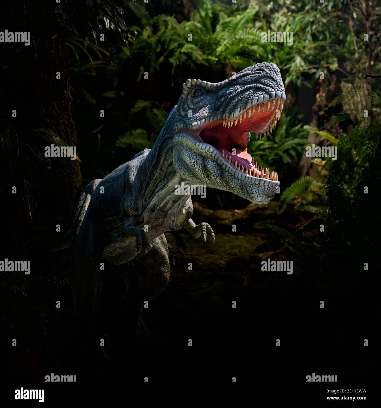 Closeup view of an angry T-Rex dinosaur figurine in jungle. Monstrous ...
