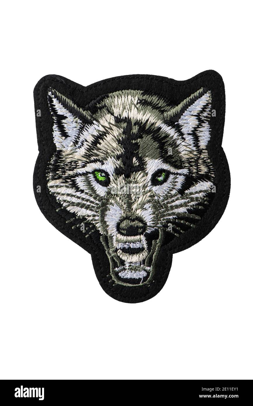 Gray wolf angry hi-res stock photography and images - Alamy