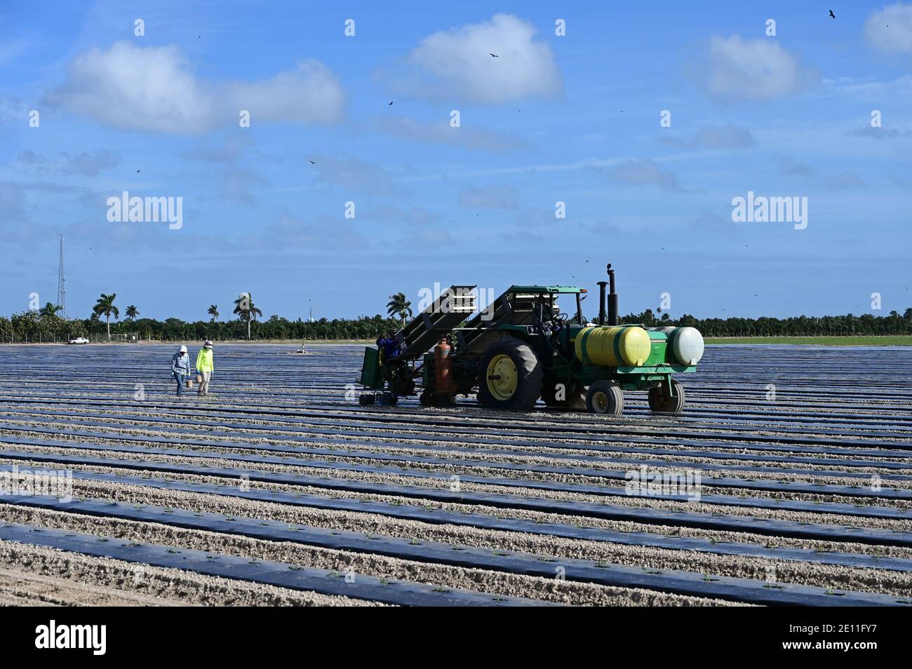 The mechanization and automation hi-res stock photography and images ...