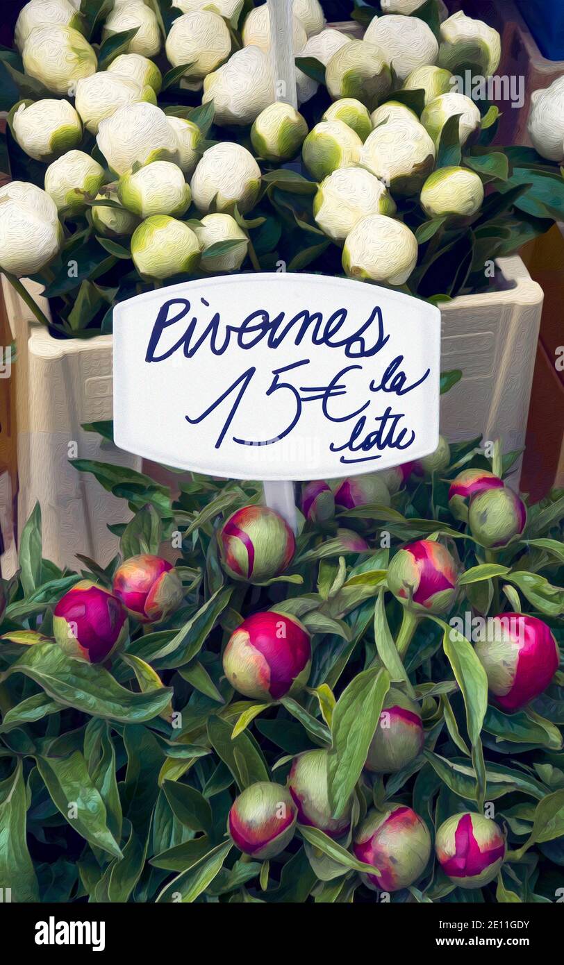 Peonies for sale at flower stall in Paris, France, 2019 Stock Photo - Alamy