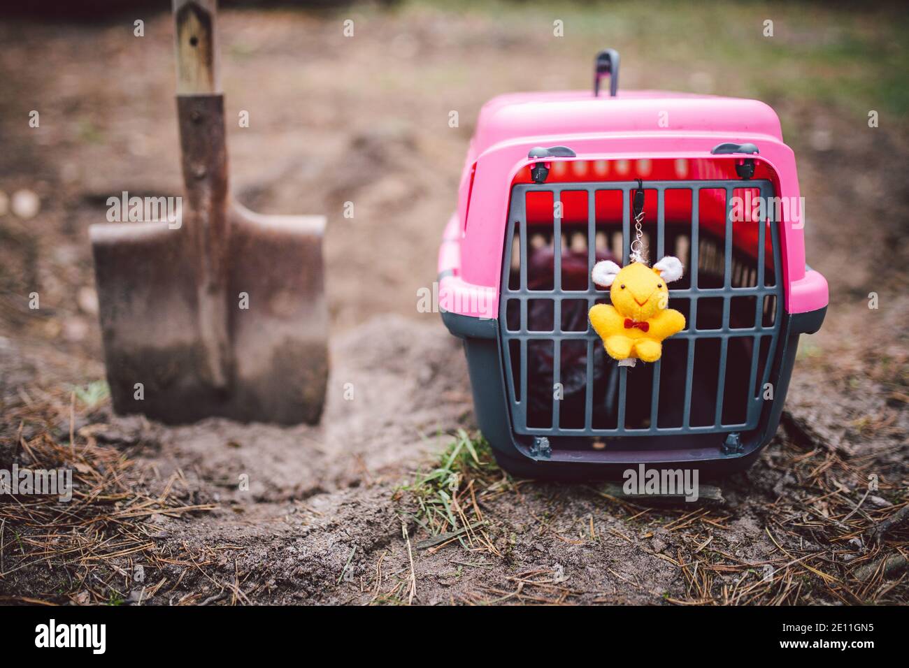 Death pet theme, burial of animal in grave in cementery abstract plot ...