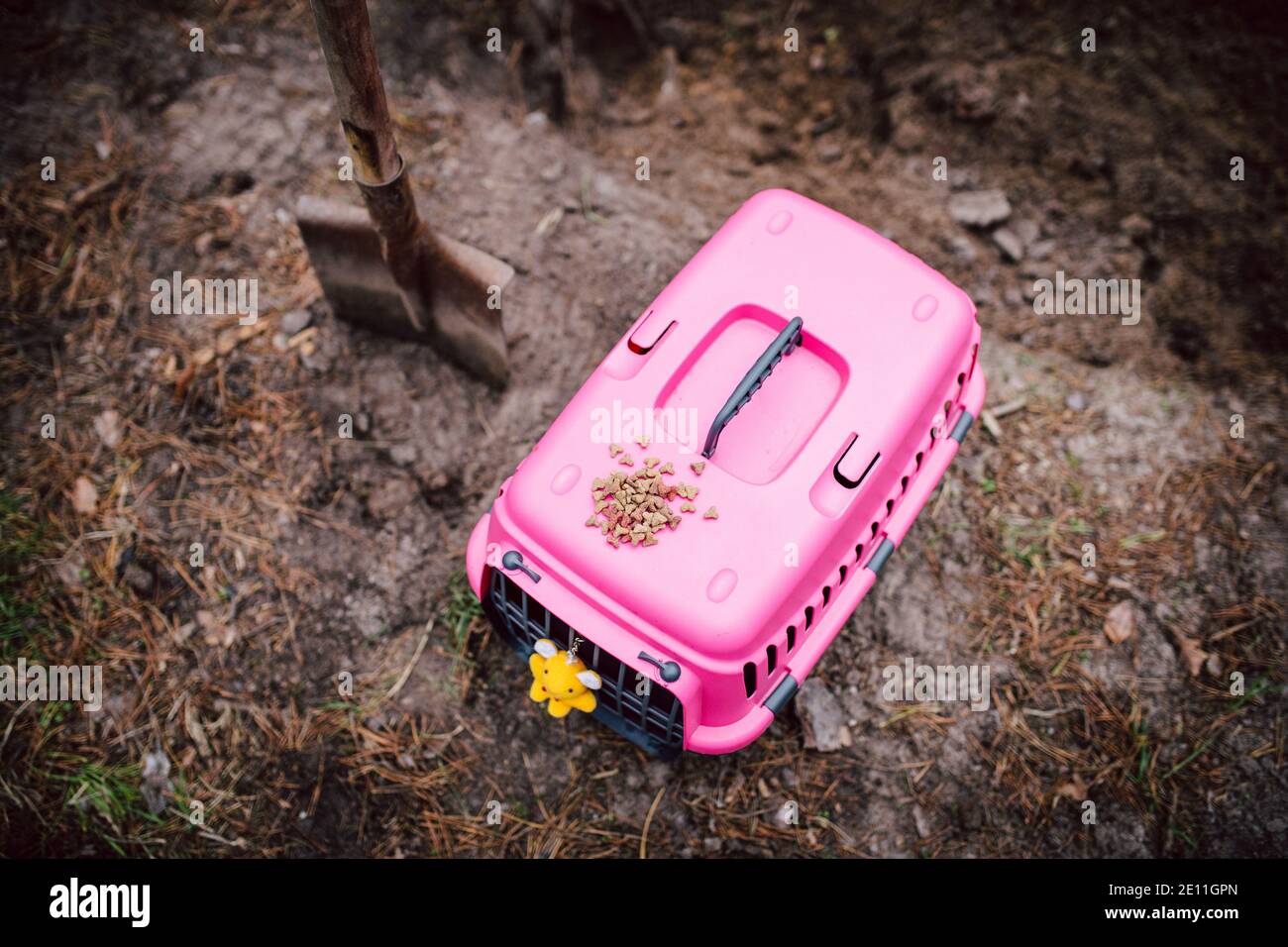 Puppy transfer hi-res stock photography and images - Alamy