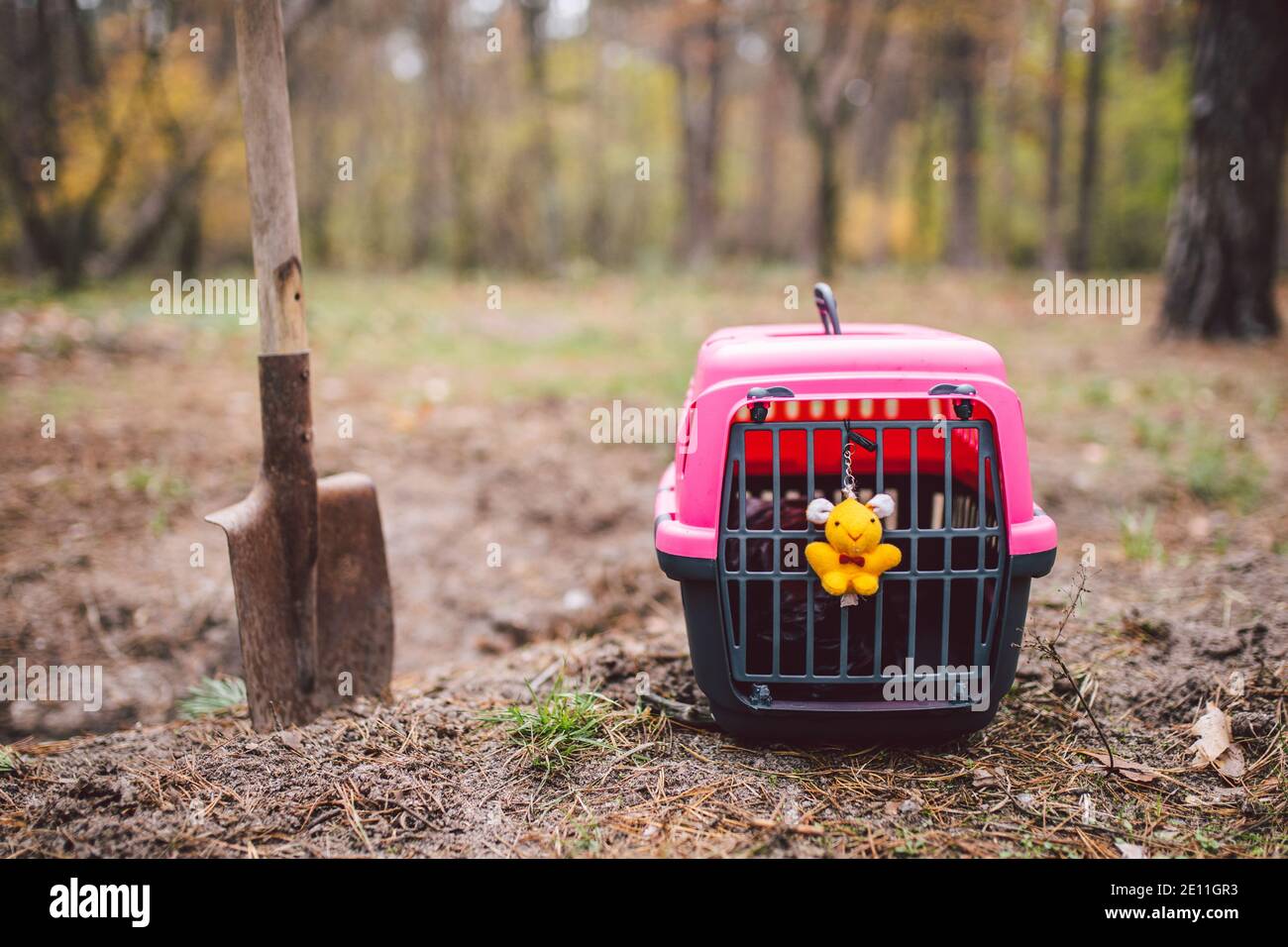 Death pet theme, burial of animal in grave in cementery abstract plot ...