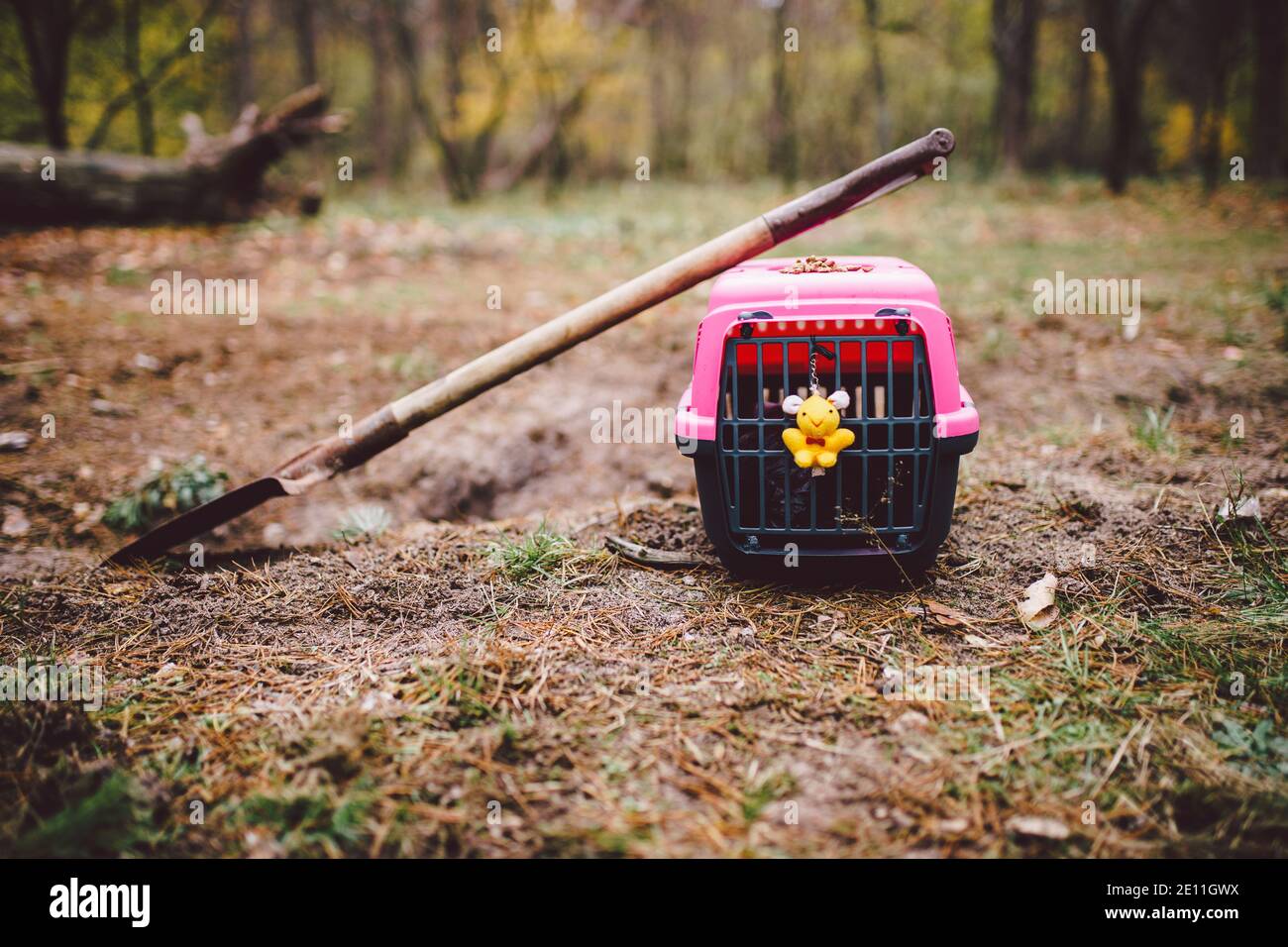 Death pet theme, burial of animal in grave in cementery abstract plot ...
