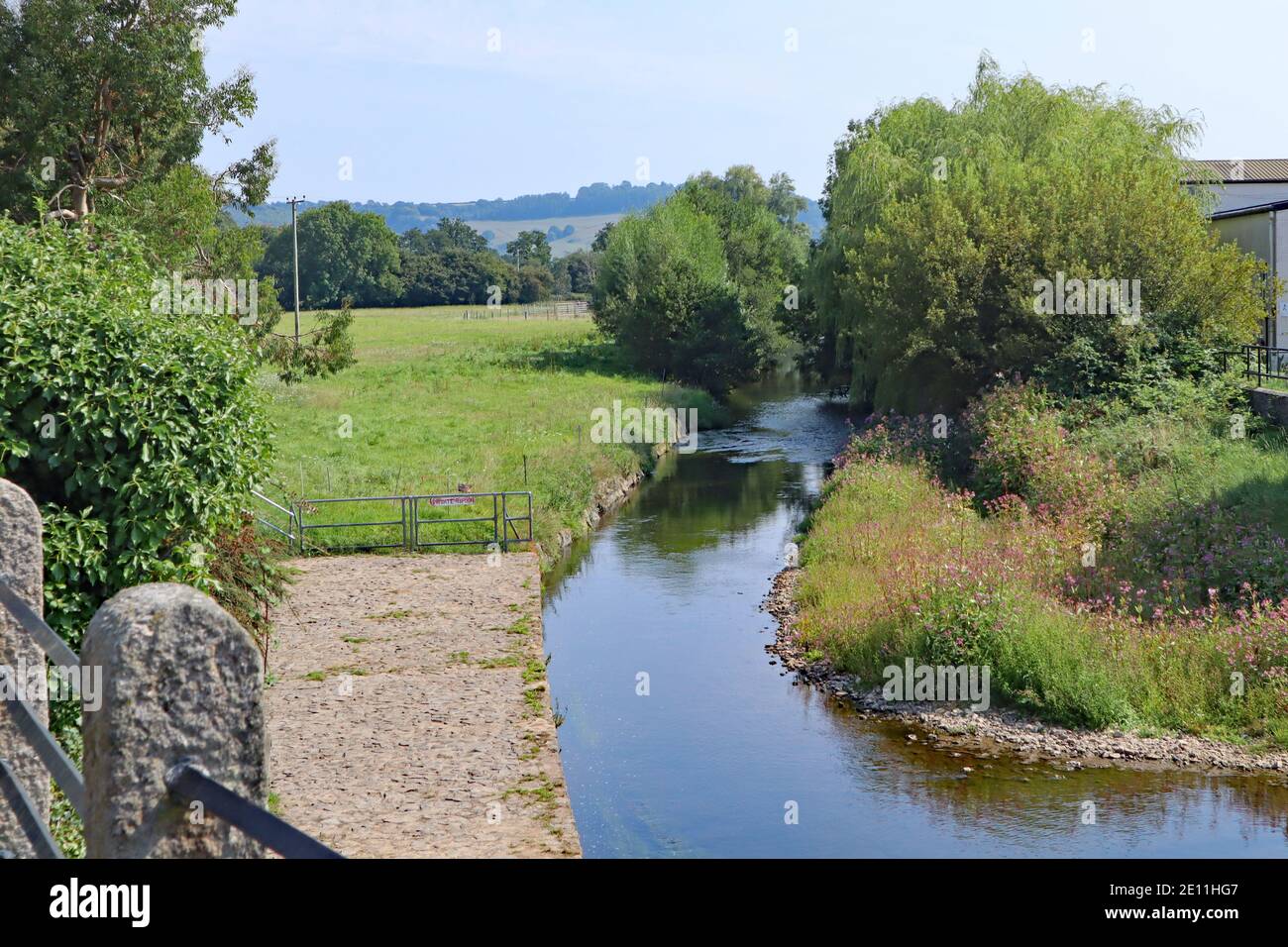 The river Coly flows slowly out of Colyton, Devon southwards towards ...