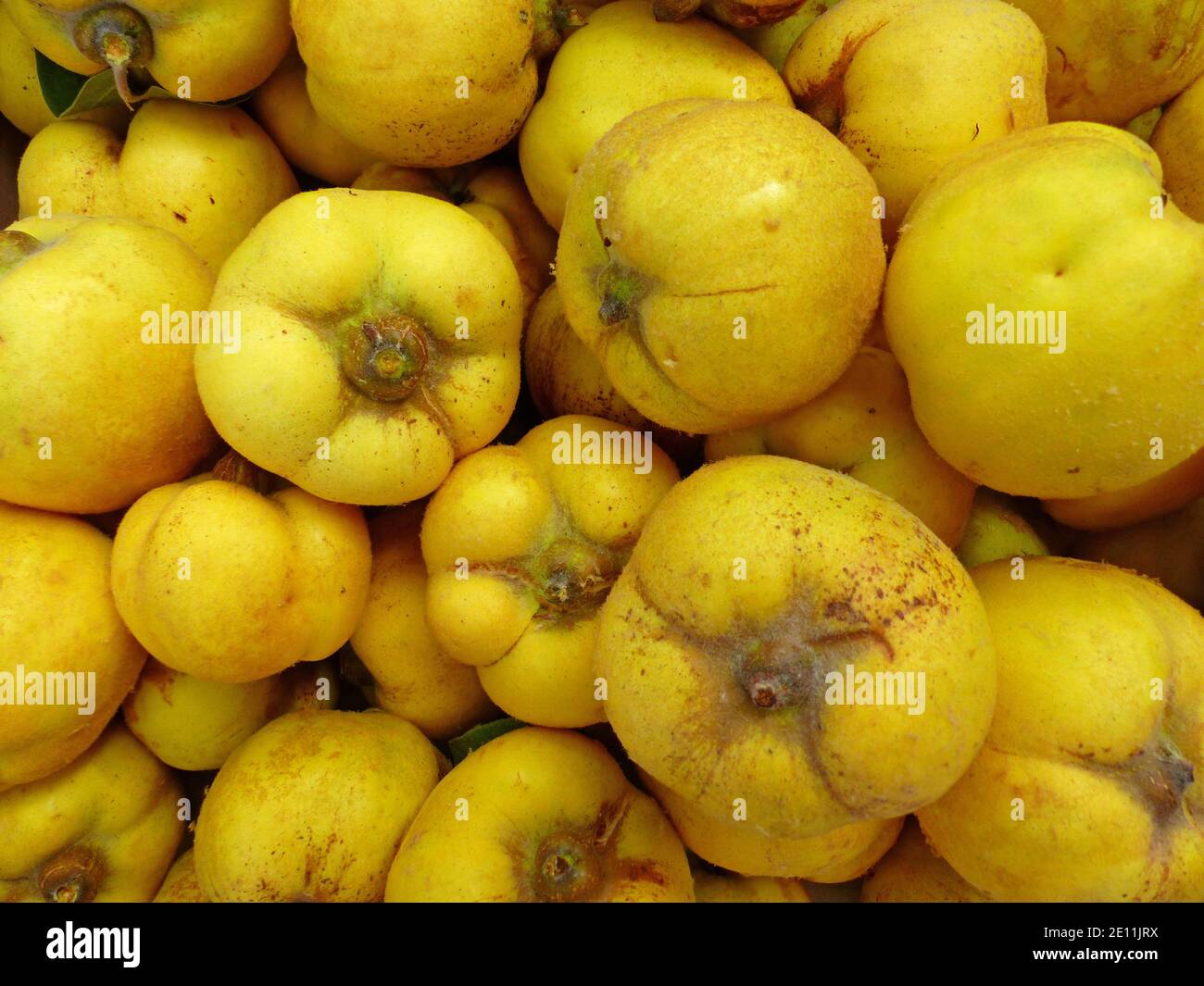Market stall quince hi-res stock photography and images - Alamy