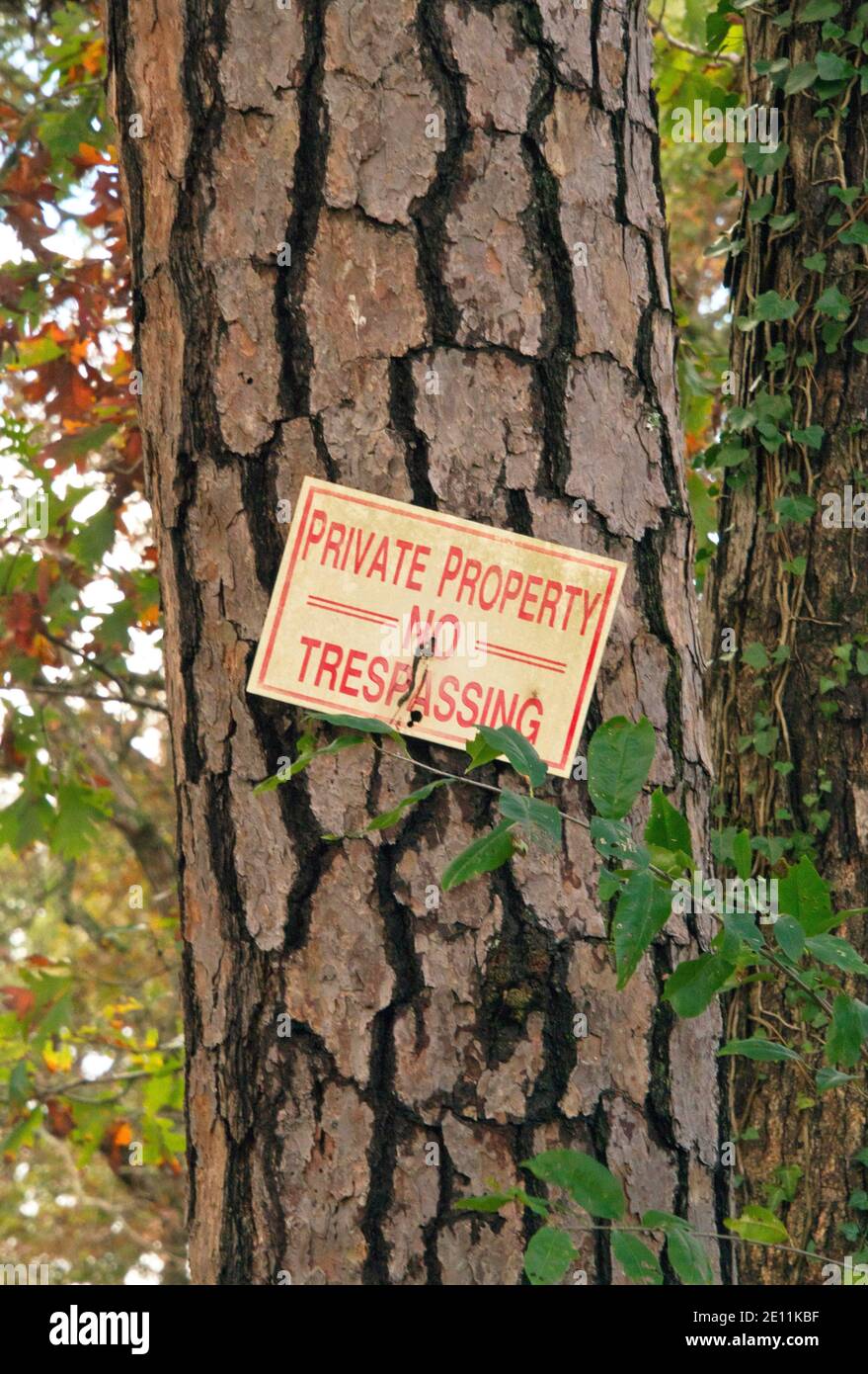 Intruding hi-res stock photography and images - Alamy