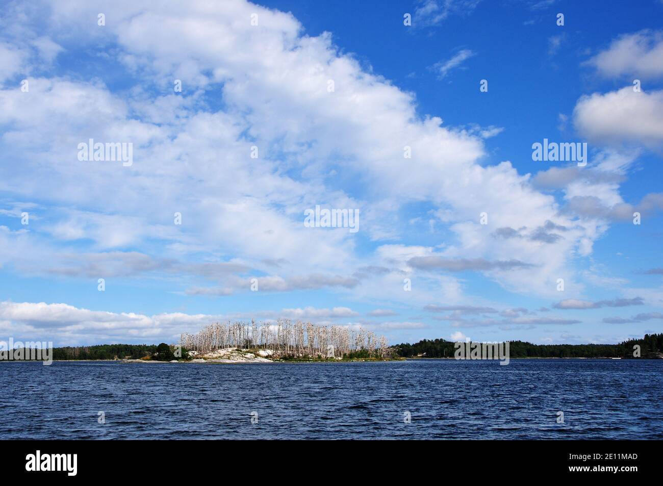 Dead tree stump erosion hi-res stock photography and images - Alamy