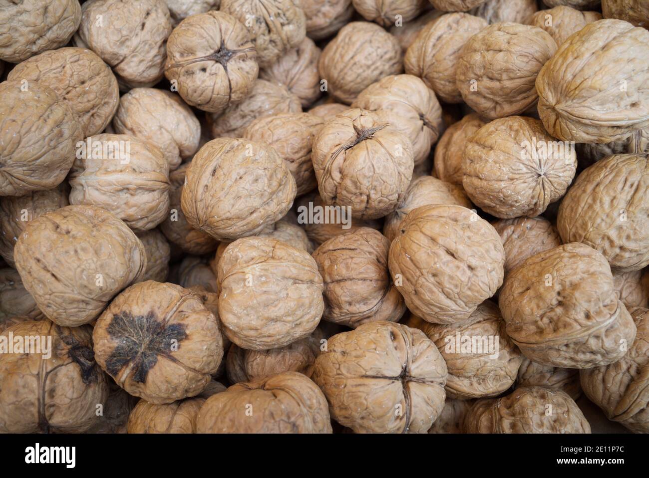 Pile of English or Black walnuts Stock Photo - Alamy