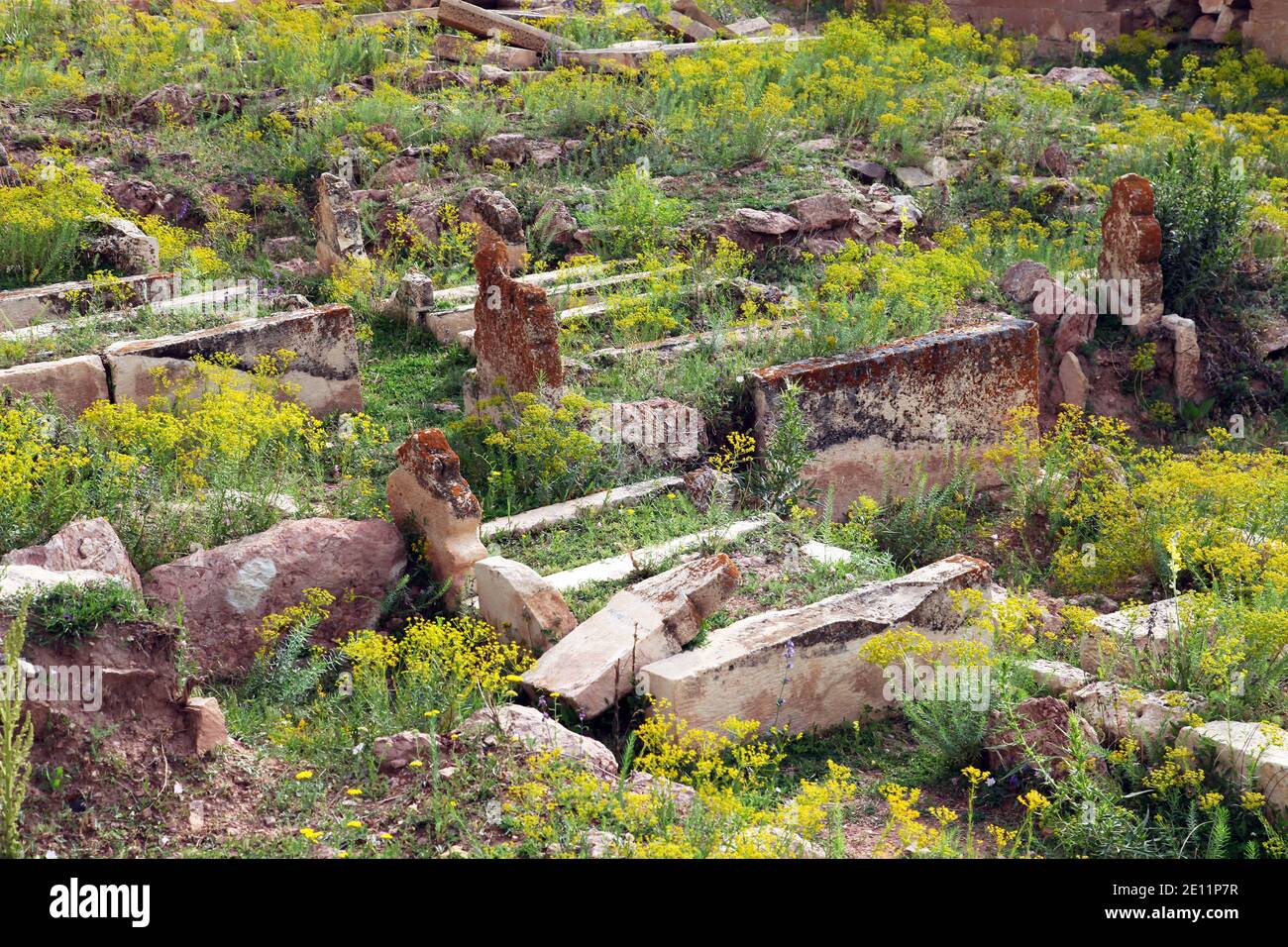 Old Ottoman graves near the Ishak Pasha palace at Dogubeyazit in Agri ...