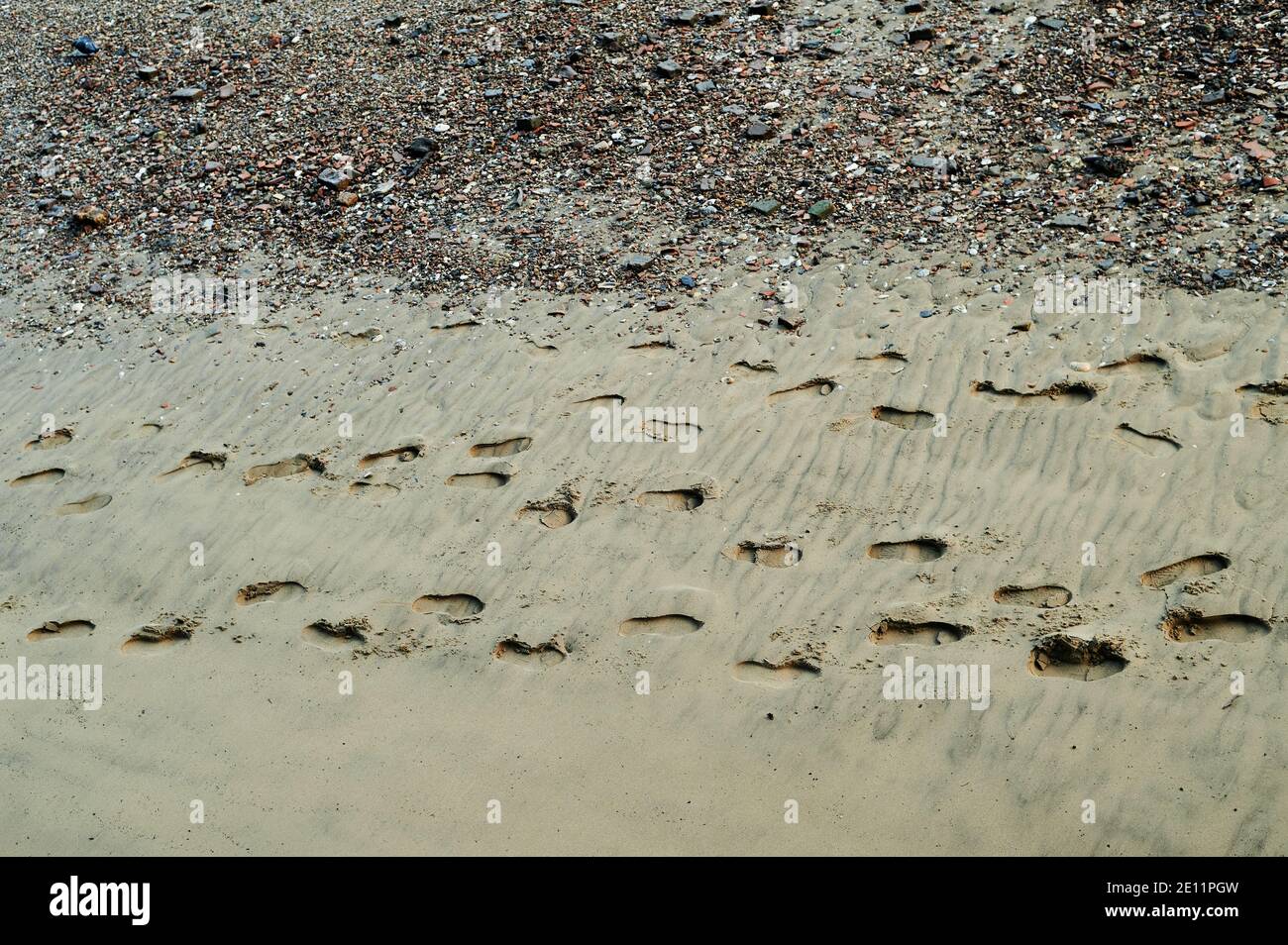double track of footsteps footprints going horizontally across ...