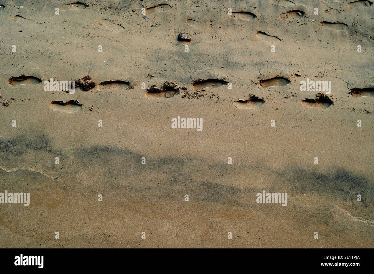 double track of footsteps footprints going horizontally across ...