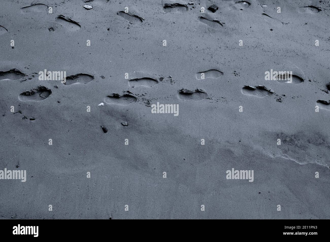 Black and white monochrome image of double track of footsteps ...