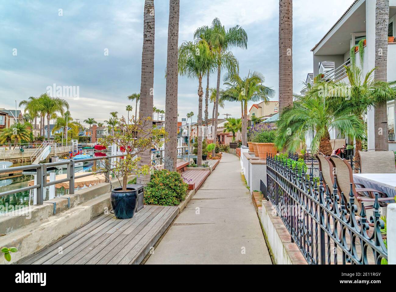 Palm tree lined walkway along houses and canal in scenic Long Beach ...