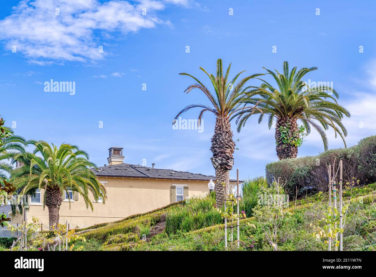 Palm trees huntington beach hi-res stock photography and images - Alamy