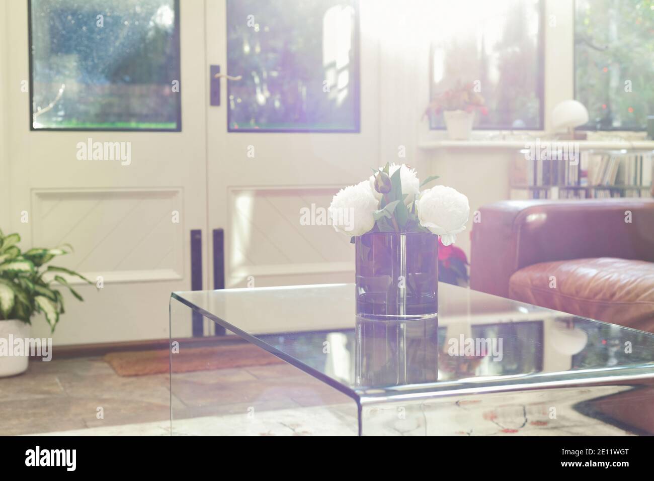 Natural sunlight shines through the window to a modern conservatory ...