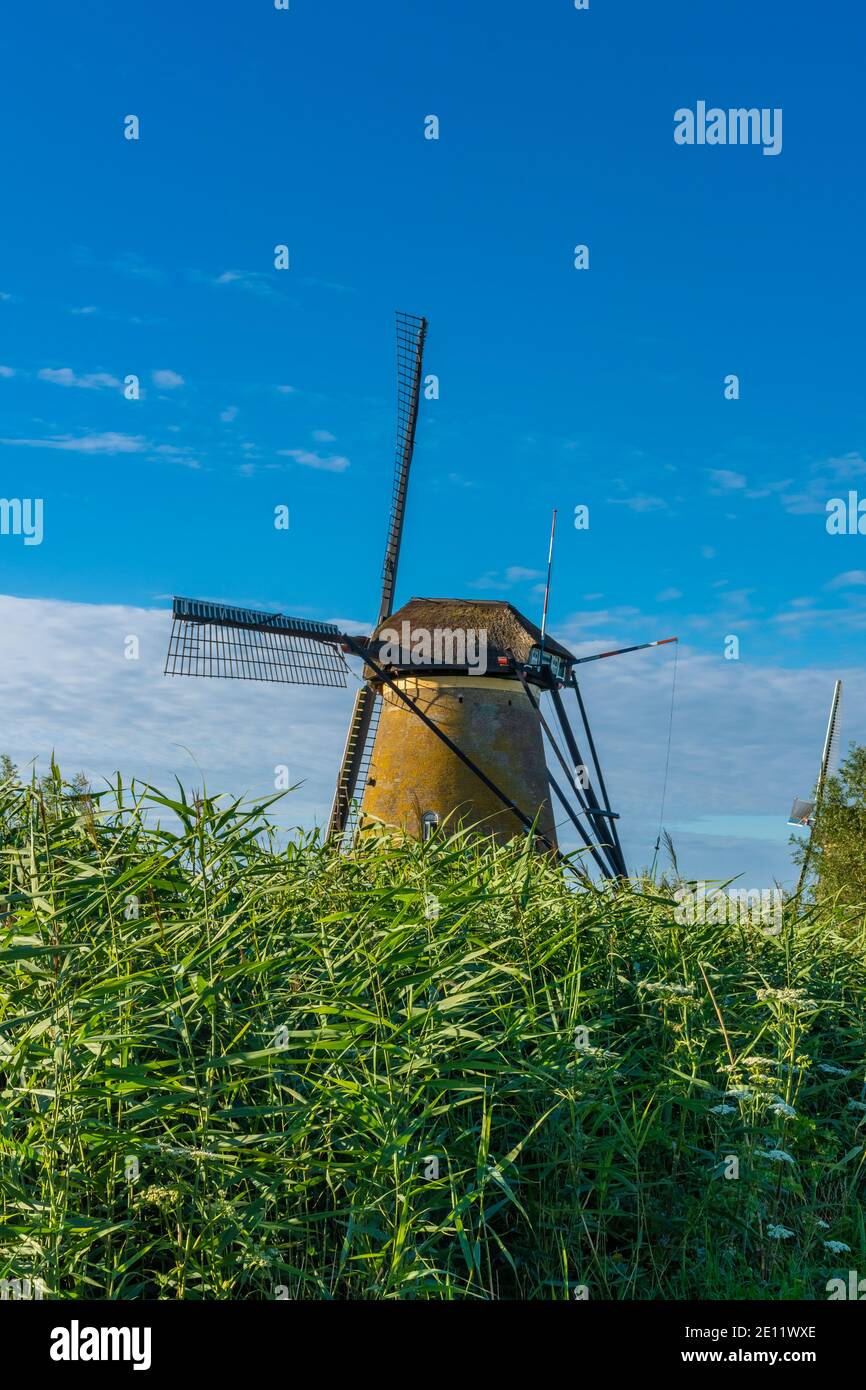 The famous windmills of Kinderdijk in the Netherlands Stock Photo - Alamy