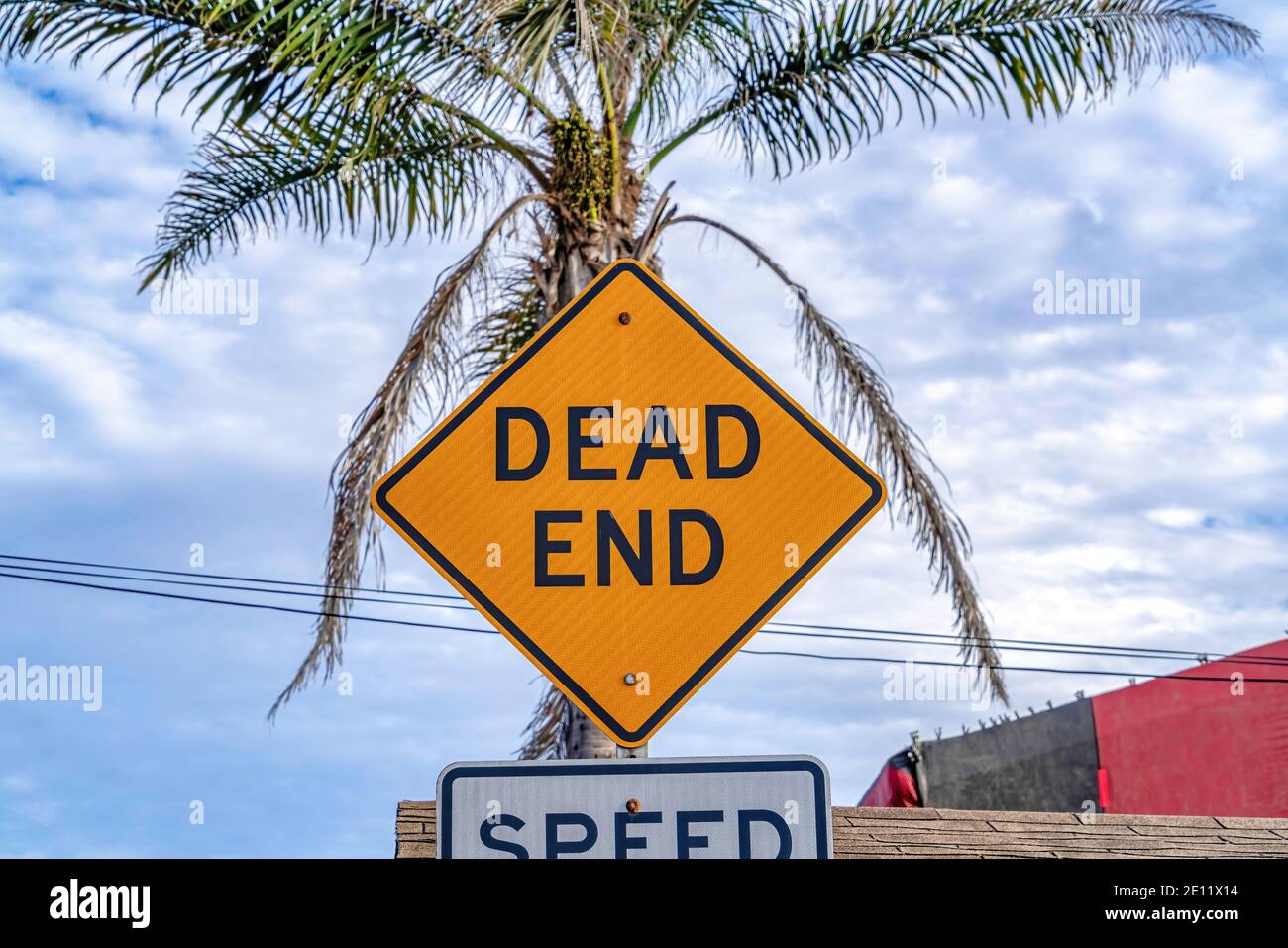 Dead End warning road sign against palm tree in Huntington Beach ...