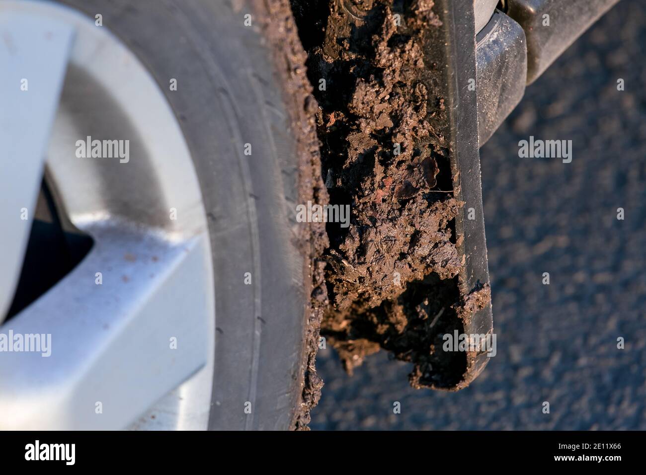 dirty car mudflap on the front wheel splashed with a mud closeup, tire ...