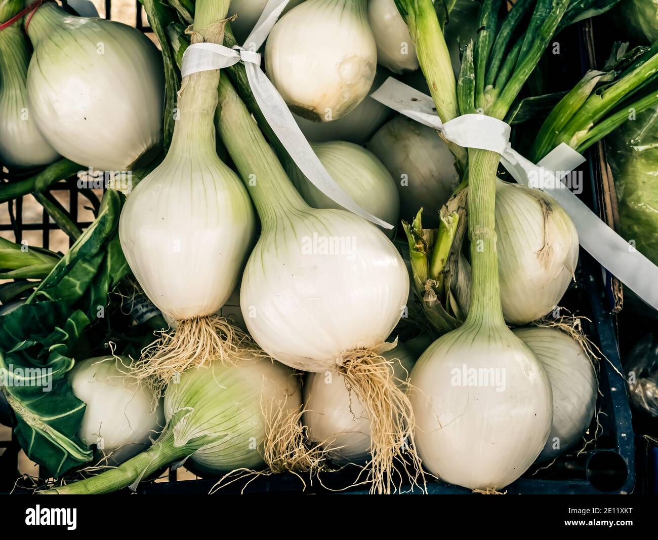 Whitehall farm hi-res stock photography and images - Alamy