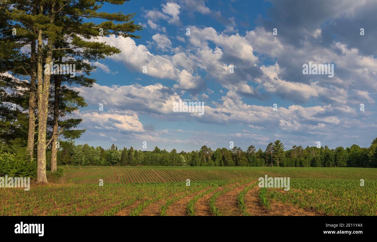 Wisconsin farming hi-res stock photography and images - Alamy