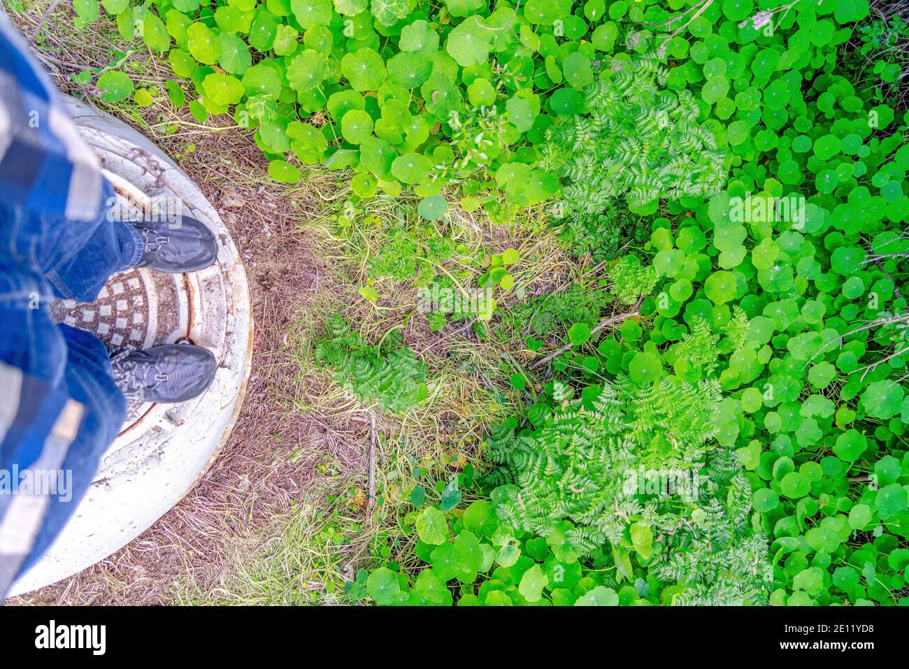 Manhole with scenery hi-res stock photography and images - Alamy