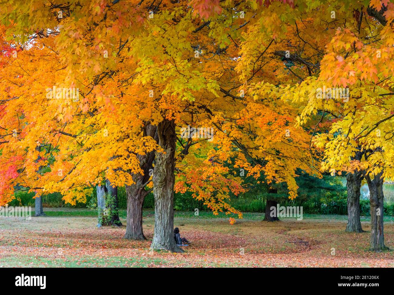 Worcester county hi-res stock photography and images - Alamy