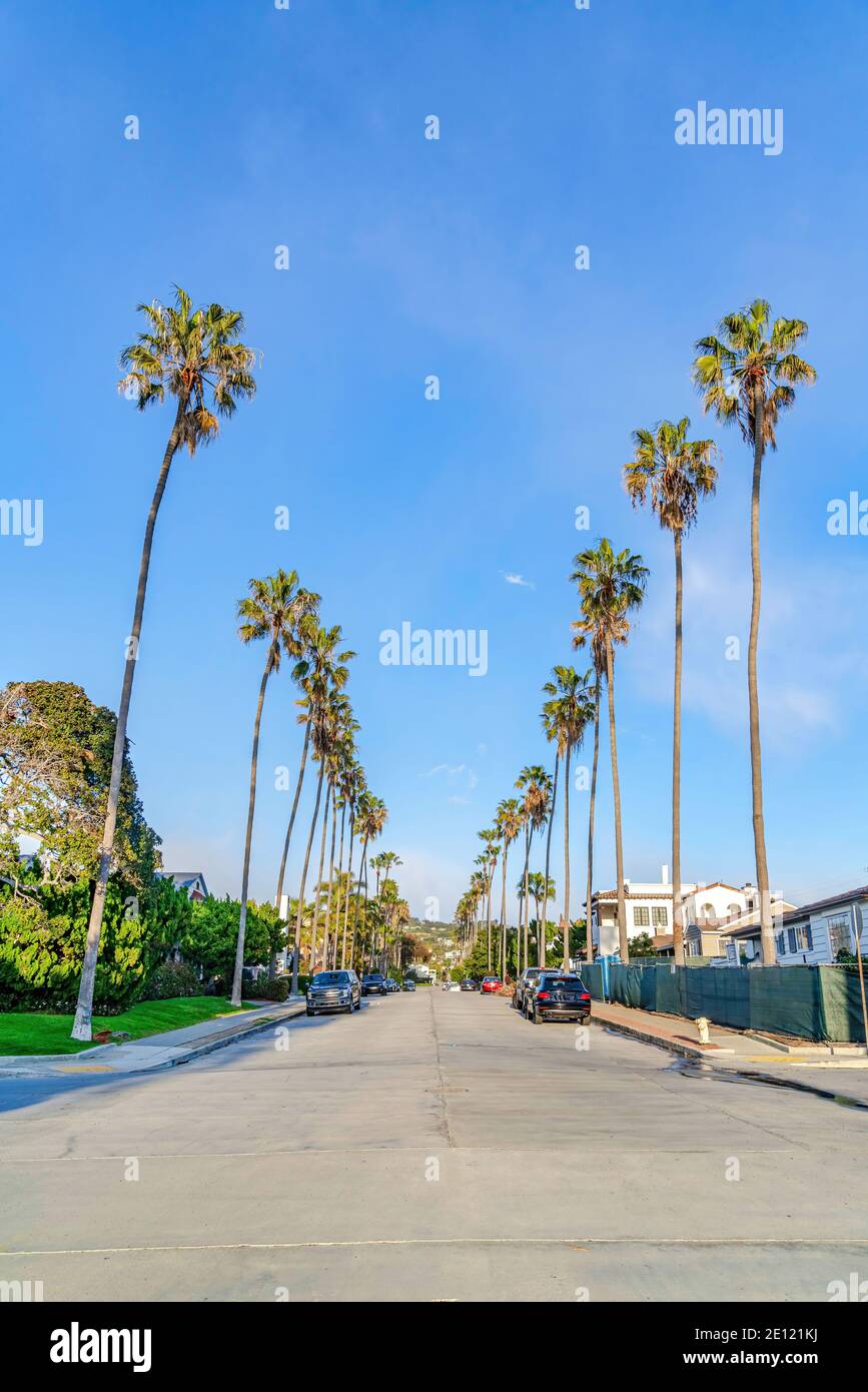 Palm tree lined street in california hi-res stock photography and ...