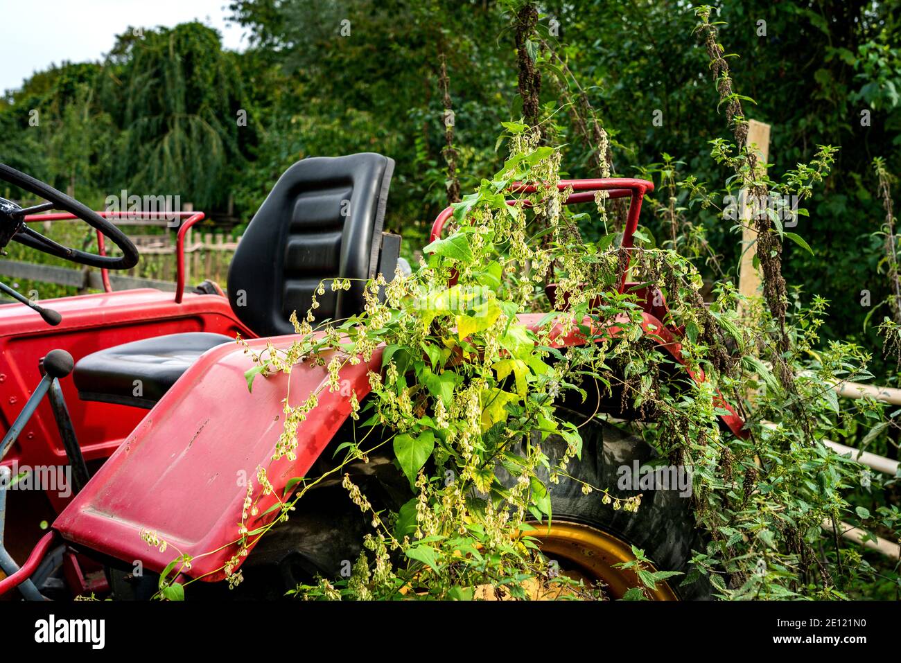 A Weed Overgrown Old Tractor Stock Photo - Alamy