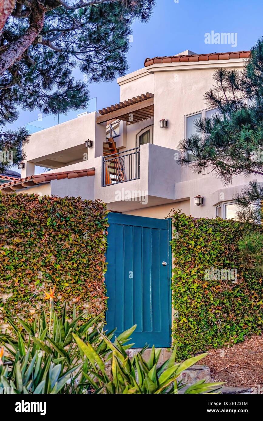 Blue wooden gate and fence covered with green climbing plants in San ...