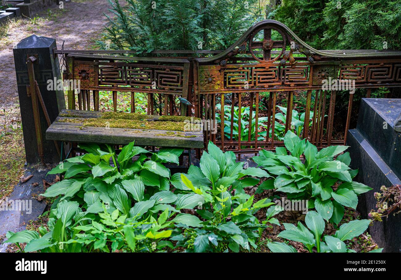 Graveyard weed hi-res stock photography and images - Alamy