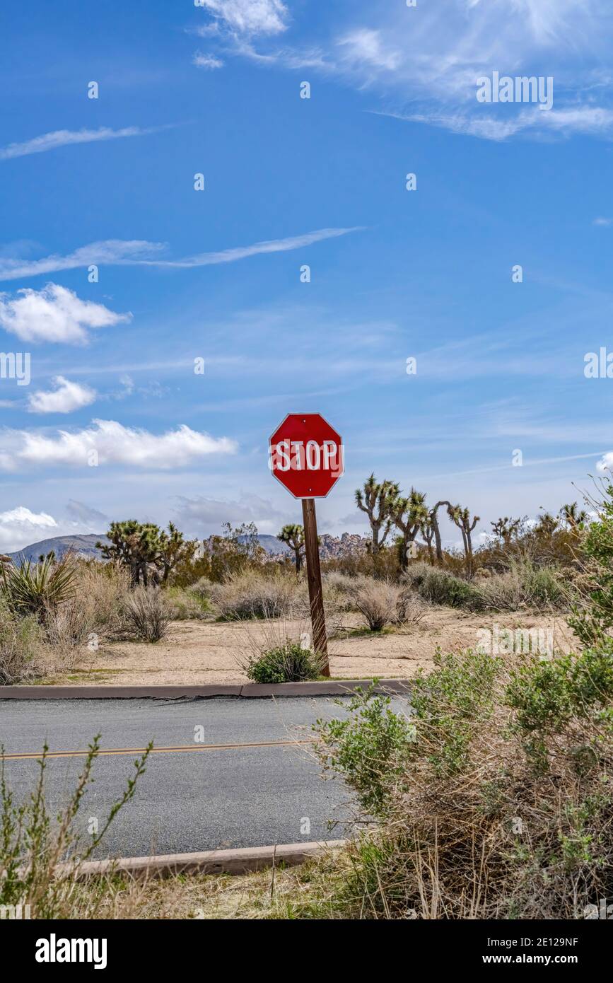 Red stop sign along road in Joshua Tree California against blue sky and ...