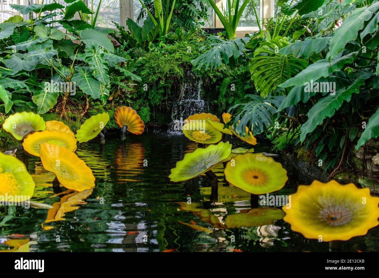 Lincoln park botanical gardens hi-res stock photography and images - Alamy