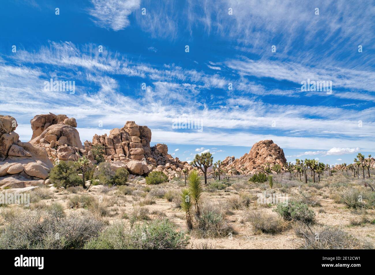 Giant rock joshua tree hi-res stock photography and images - Alamy