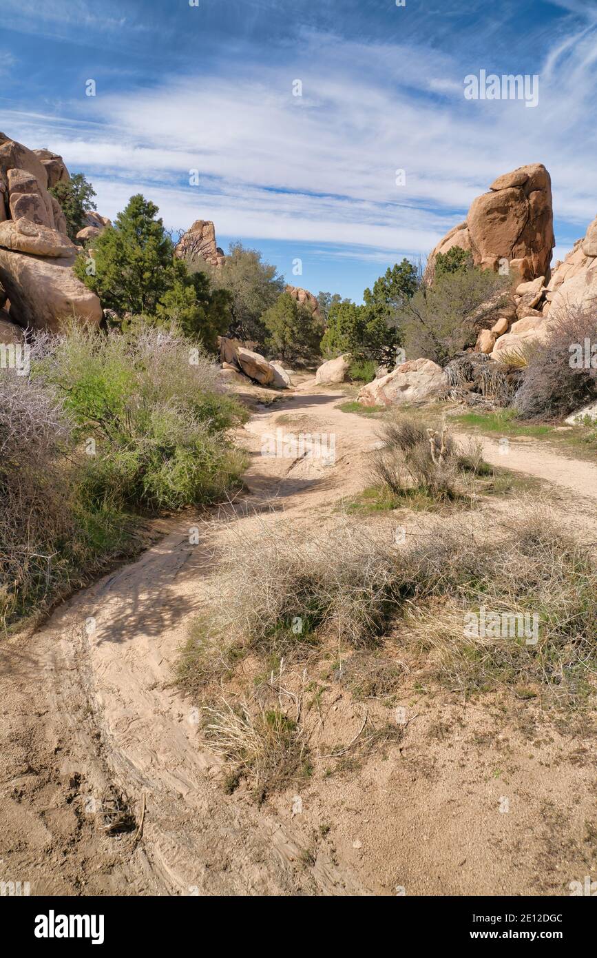 Joshua Tree National Park with hiking pathway in the desert amid giant ...