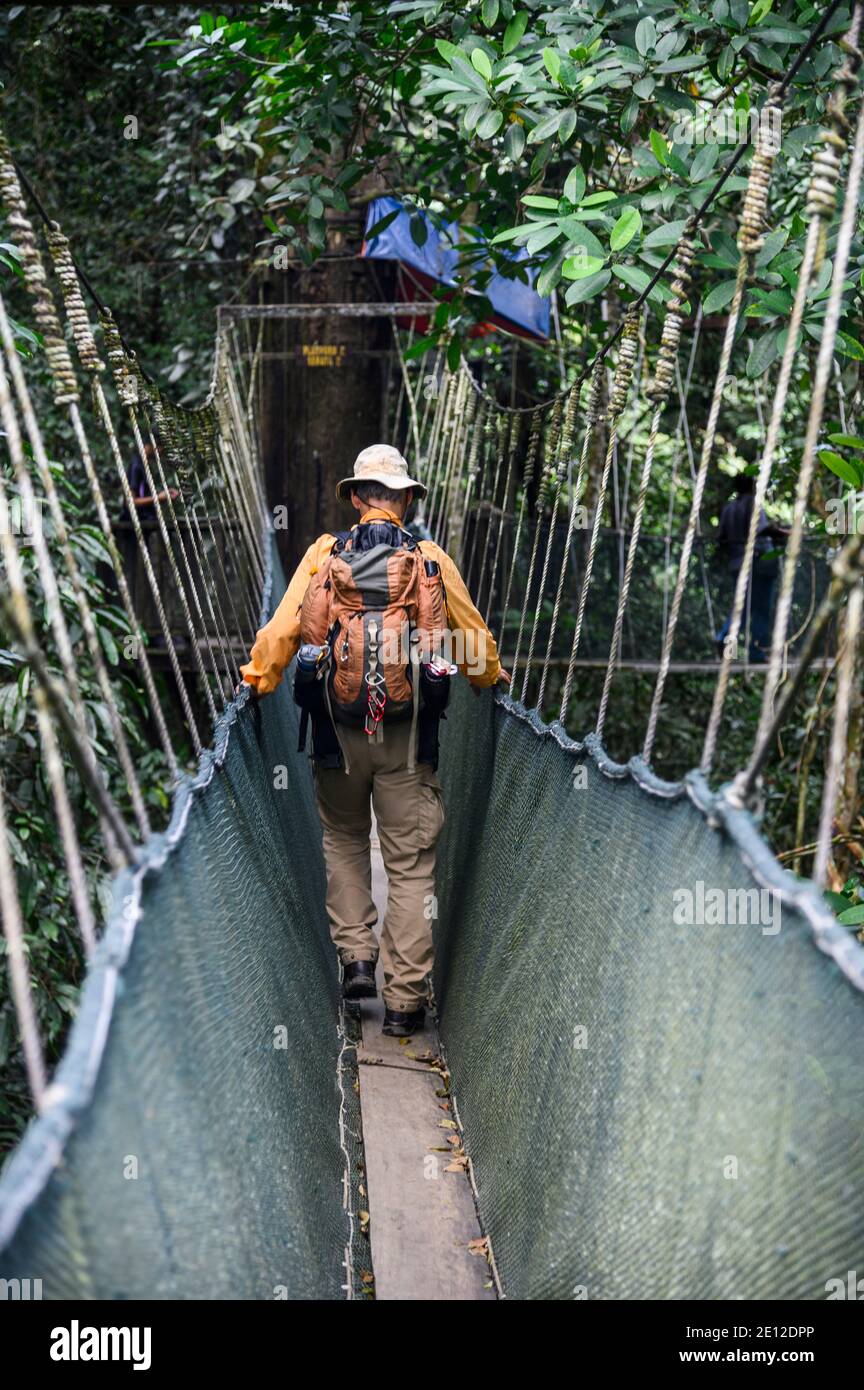 Canopy walkway hi-res stock photography and images - Alamy