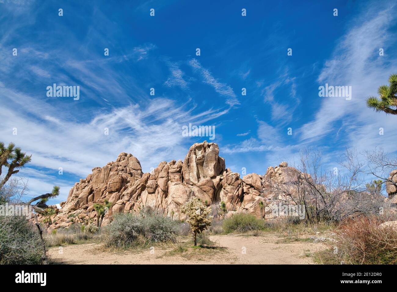 Joshua trees shrubs and giant rocks at Joshua Tree National Park in ...