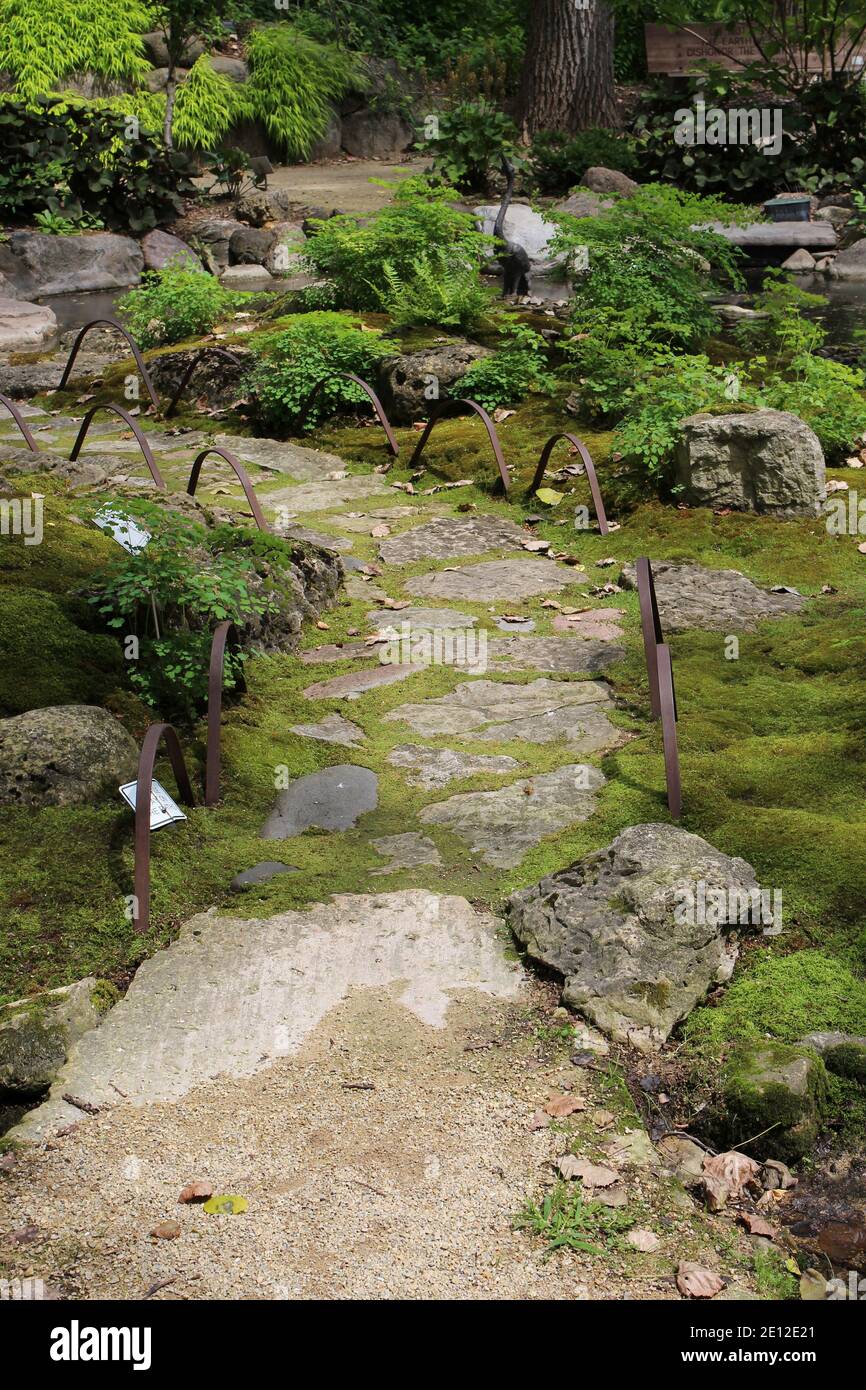 Pathway to pond hi-res stock photography and images - Alamy