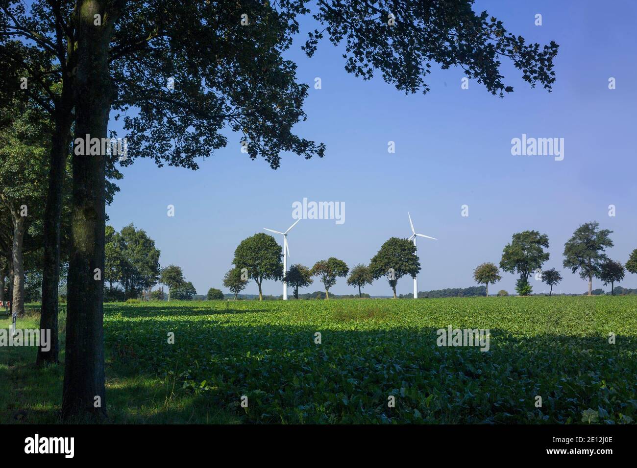 Stir wind hi-res stock photography and images - Alamy